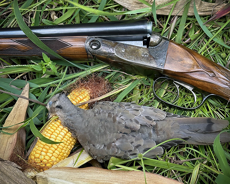 The Parker Gun Collectors Association