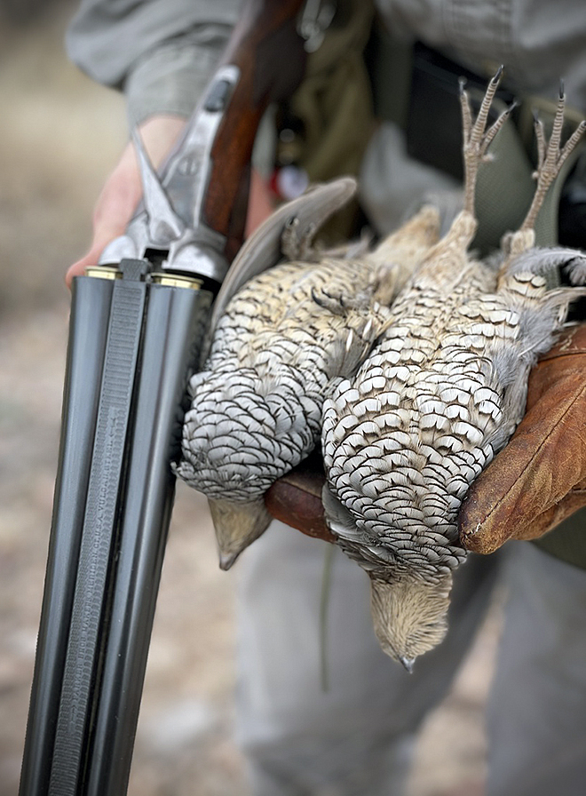 The Parker Gun Collectors Association