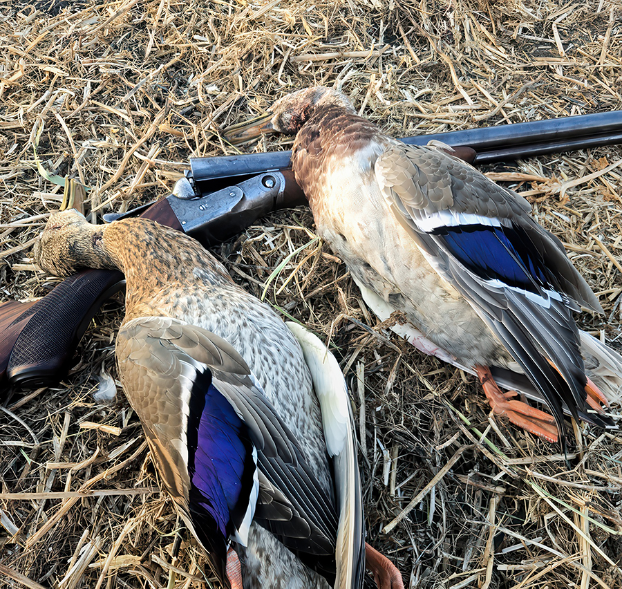 The Parker Gun Collectors Association